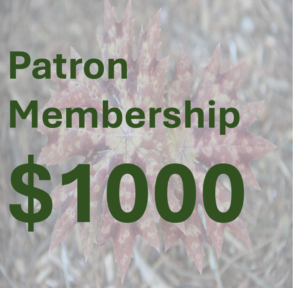 Patron Membership | Heronswood Garden